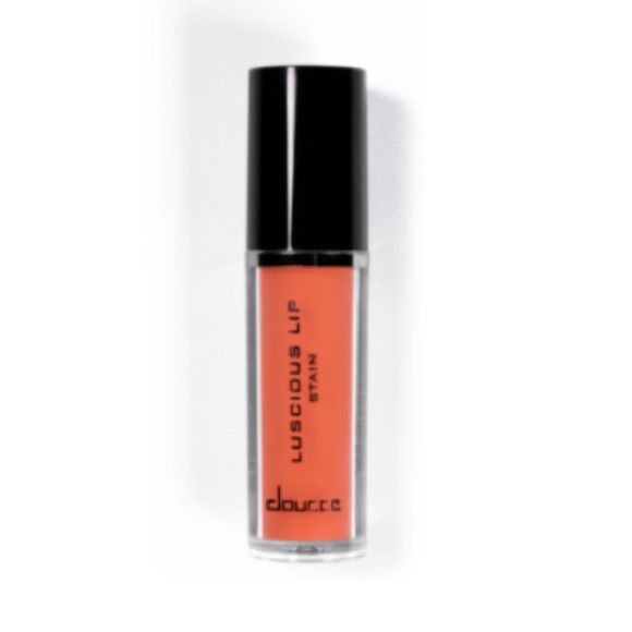 Doucce | Makeup | Doucce Luscious Lip Stain In Holiday Getaway | Poshmark